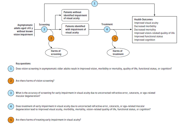 Archived: Evidence Summary: Impaired Visual Acuity in Older Adults ... Archived: Evidence Summary: Impaired Visual Acuity in Older Adults ...