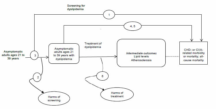 Archived: Final Research Plan: Statin Use for the Primary Prevention of ...