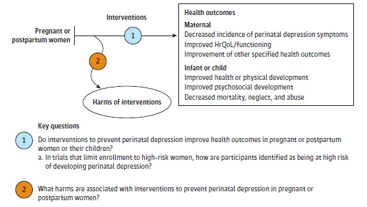 Evidence Summary: Perinatal Depression: Preventive Interventions ...