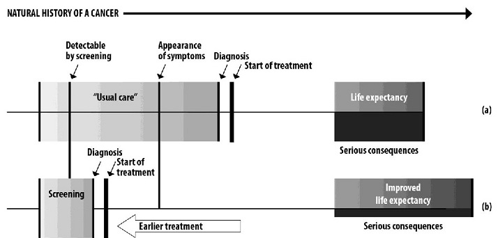 Archived: Modeling Report: Lung Cancer: Screening | United States ...