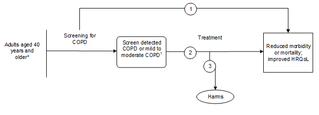 Final Research Plan: Chronic Obstructive Pulmonary Disease: Screening ...