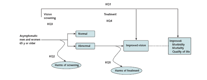 Archived: Final Evidence Summary: Impaired Visual Acuity in Older ... Archived: Final Evidence Summary: Impaired Visual Acuity in Older ...
